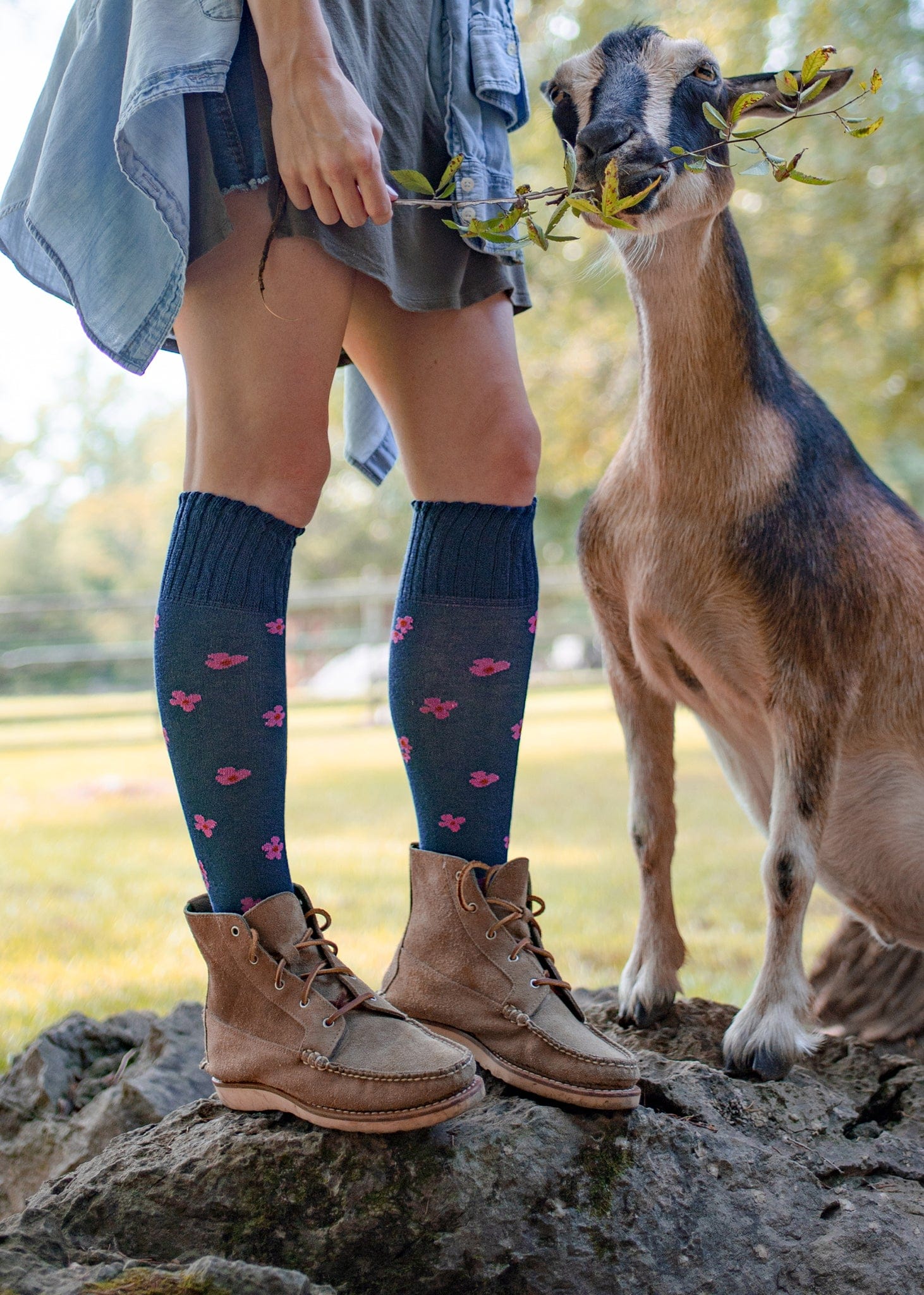 zkano - Organic Cotton Socks for Women, Men & Kids, Made in USA – zkano ...