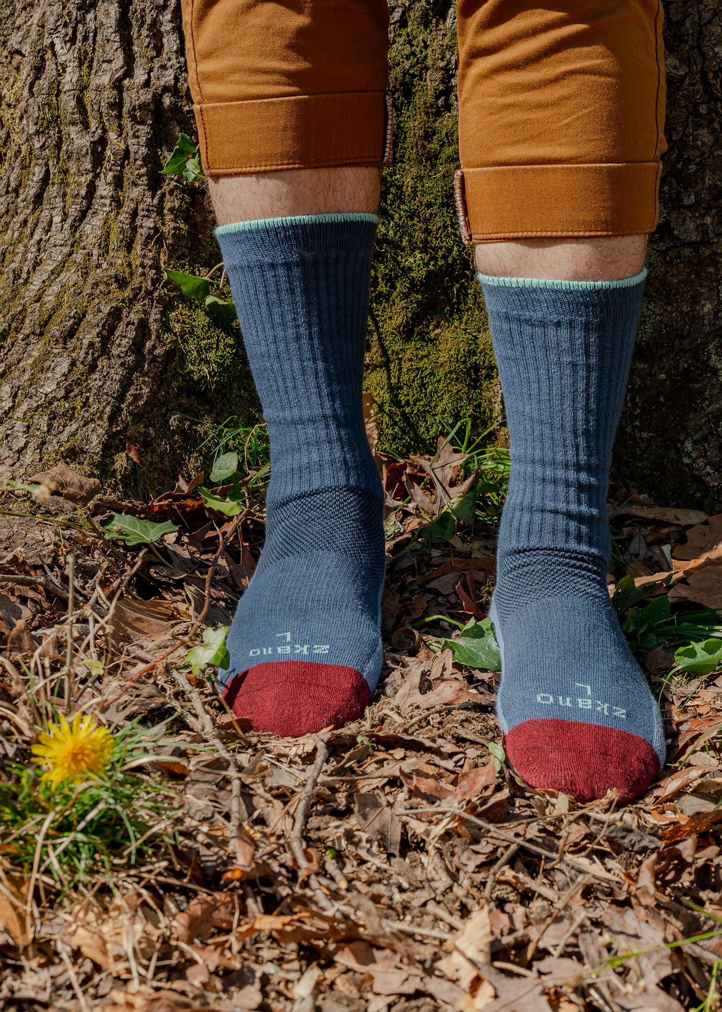 zkano - Organic Cotton Socks for Women, Men & Kids, Made in USA – zkano ...